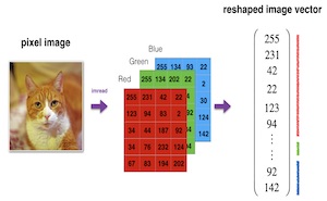 Backpropagation(BP) 倒傳遞法 #2 貓貓分類器-2層類神經網路 - BrilliantCode.net